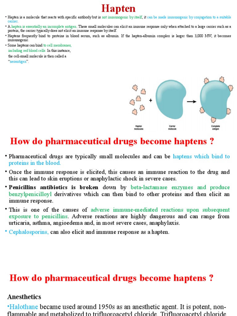 Understanding Haptens and Their Role in Autoimmunity and Adverse Drug ...