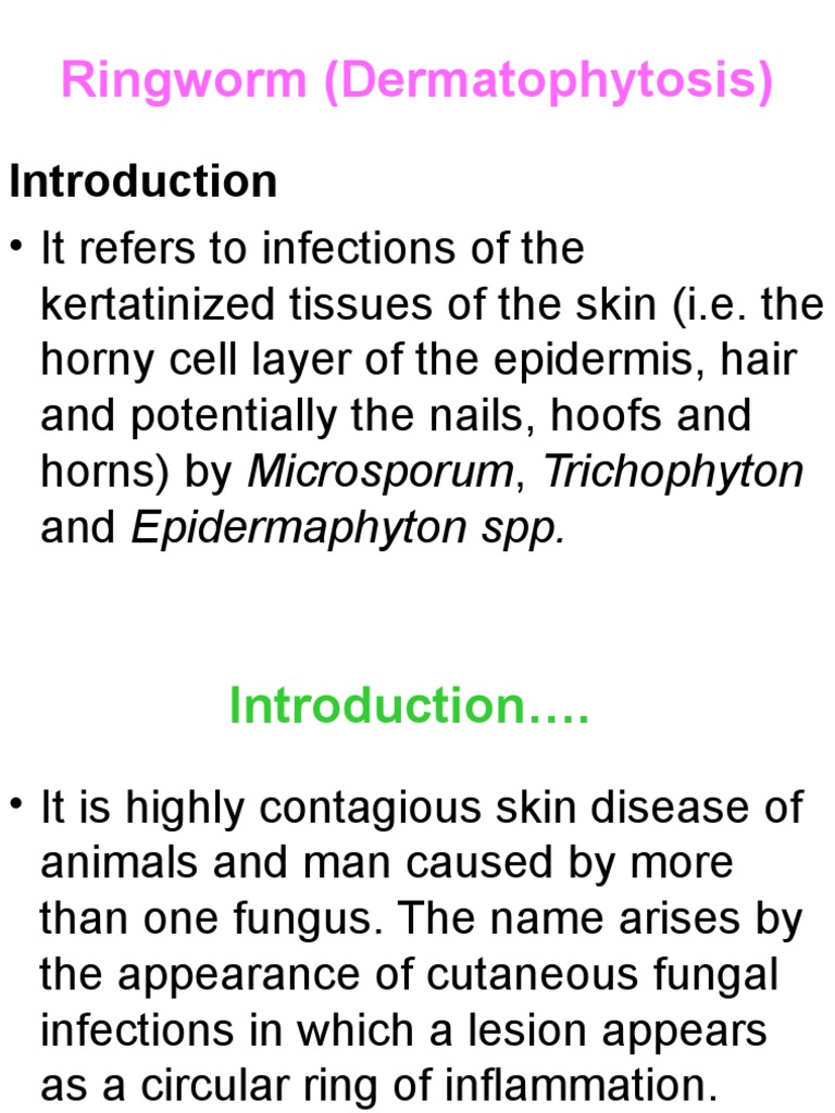 Ringworm (Dermatophytosis) | PDF | Medicine | Health Sciences