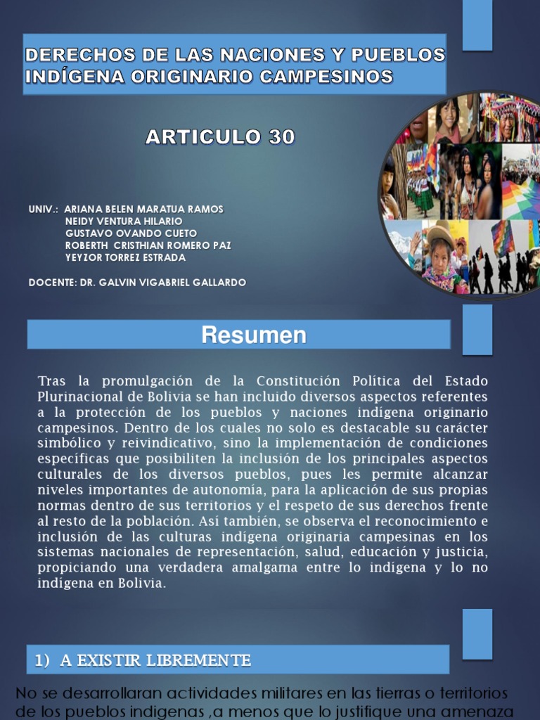 Articulo 30 | PDF | Bolivia | Estado (política)