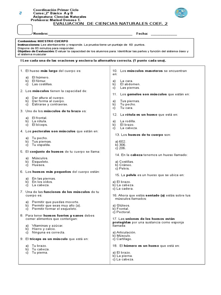Prueba Sistema Oseo y Muscular | PDF | Hueso | Articulación