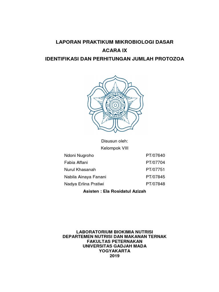 Laporan Praktikum Mikrobiologi Dasar - Identifikasi Dan Perhitungan ...