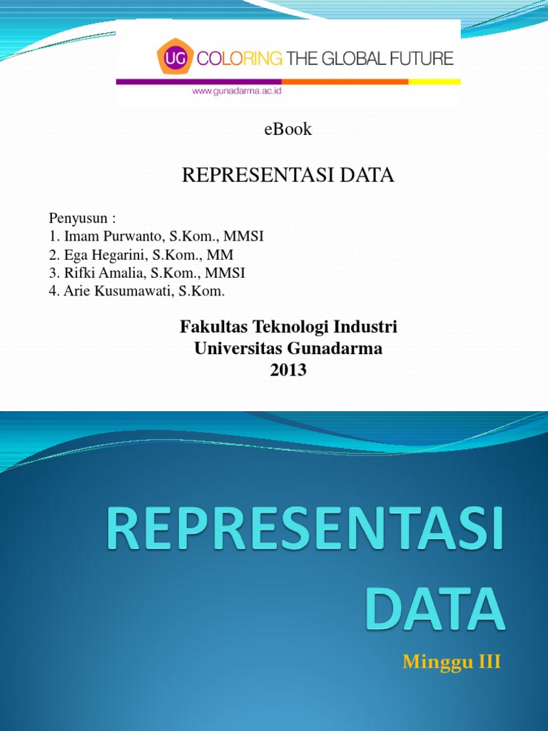 MINGGU 3 Representasi Data PDF | PDF