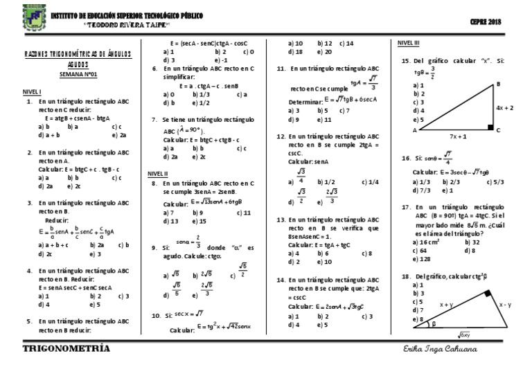 Ejercicios de Triángulos Rectángulos | PDF | Triángulo | Trigonometría