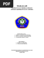 Askep Anemia: Pendekatan SDKI SLKI SIKI | PDF