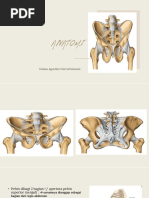 Anatomi Pelvis: Struktur dan Fungsi | PDF
