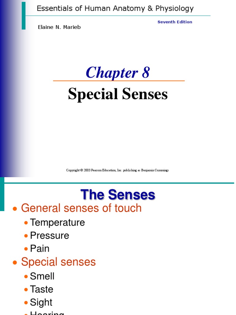 Chapter 8 Special Senses | PDF | Ear | Taste