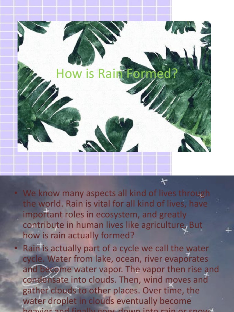 How Is Rain Formed? | PDF | Rain | Water Vapor