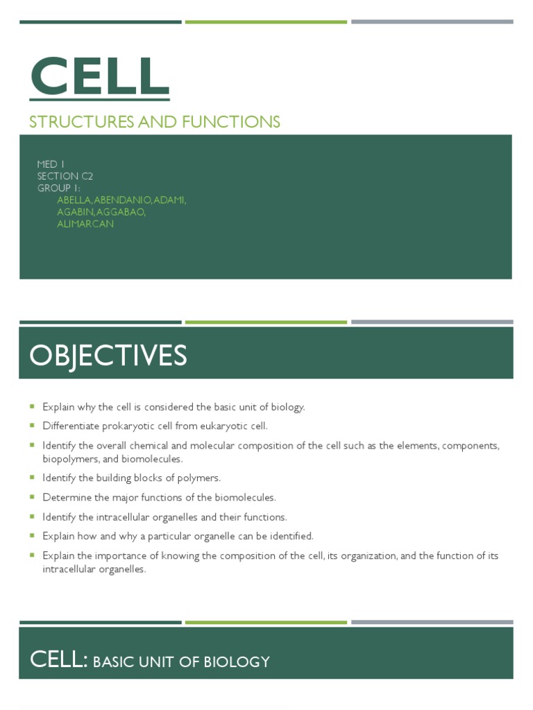 Cell Structures & Functions Overview | PDF