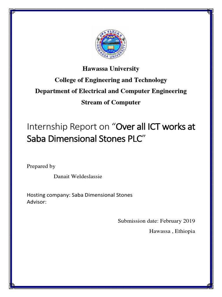 Dana Internship Report - Final | PDF | Domain Name System | Computer Network