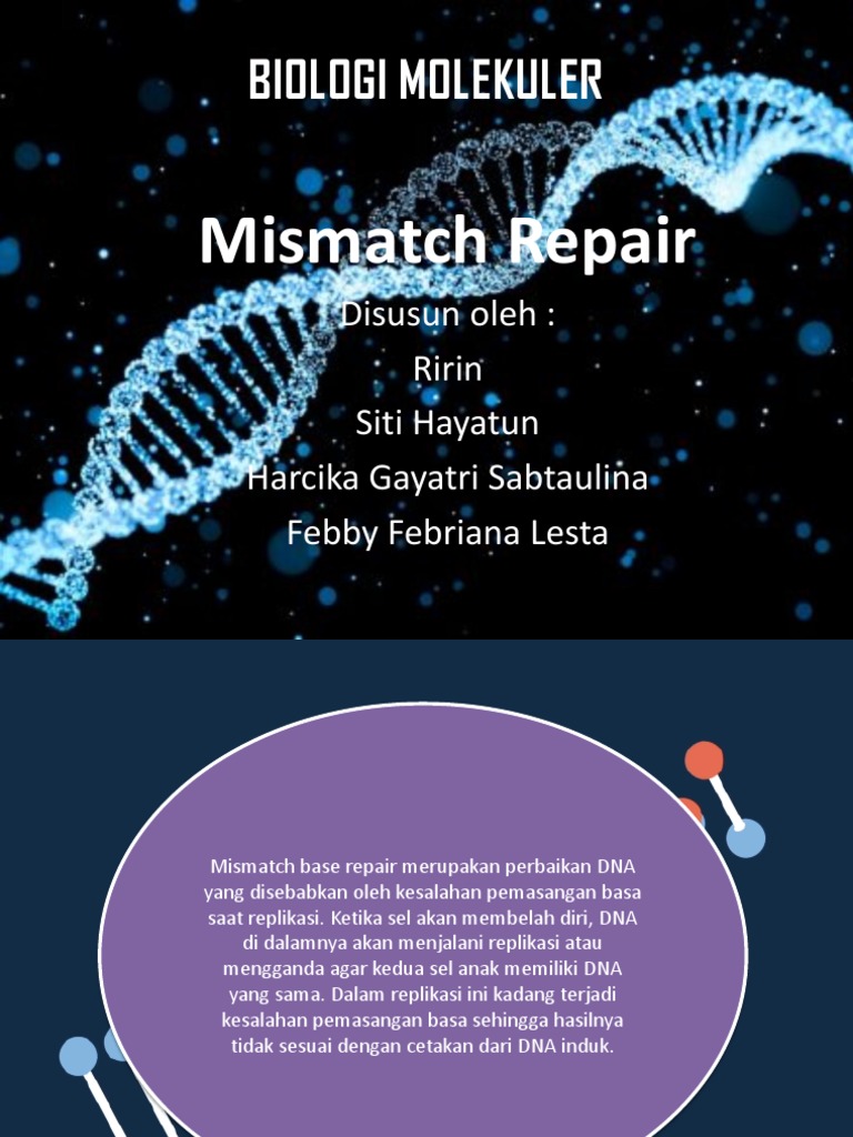 Perbaikan Mismatch dalam DNA | PDF