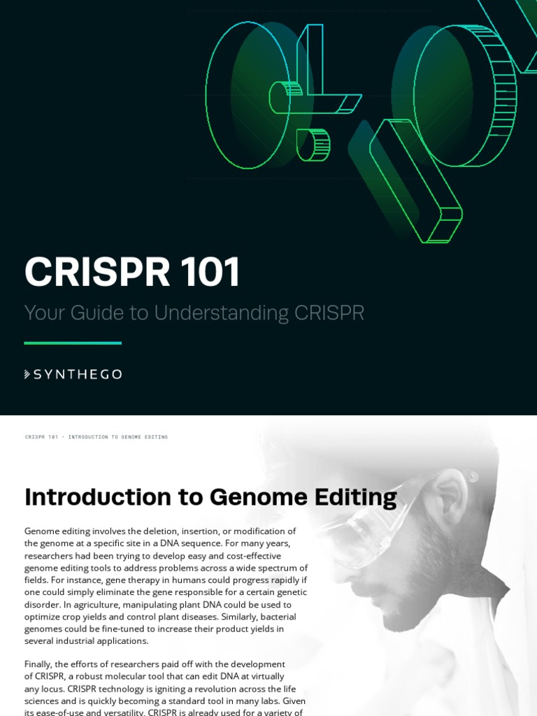CRISPR 101: A Beginner's Guide | PDF | Crispr | Gene Knockout