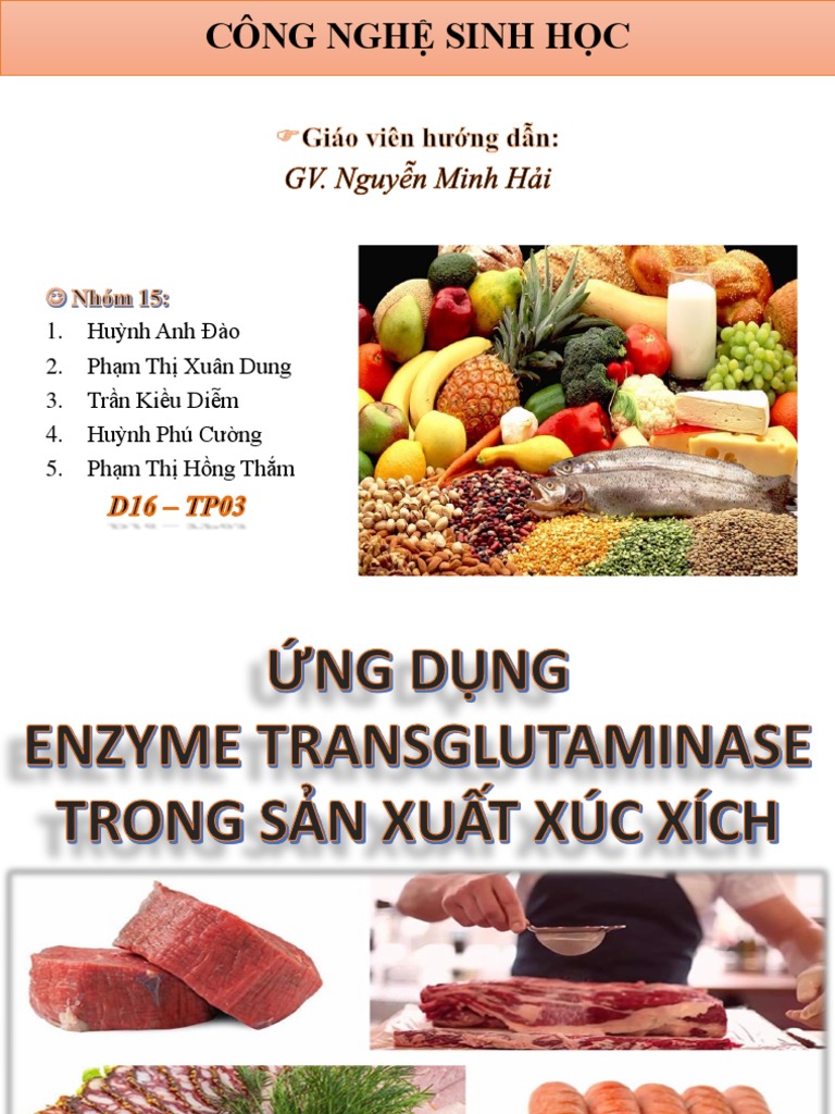 Enzyme Transglutaminase | PDF