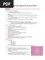 Cápsula de Glisson | PDF | Tejido adiposo | Riñón