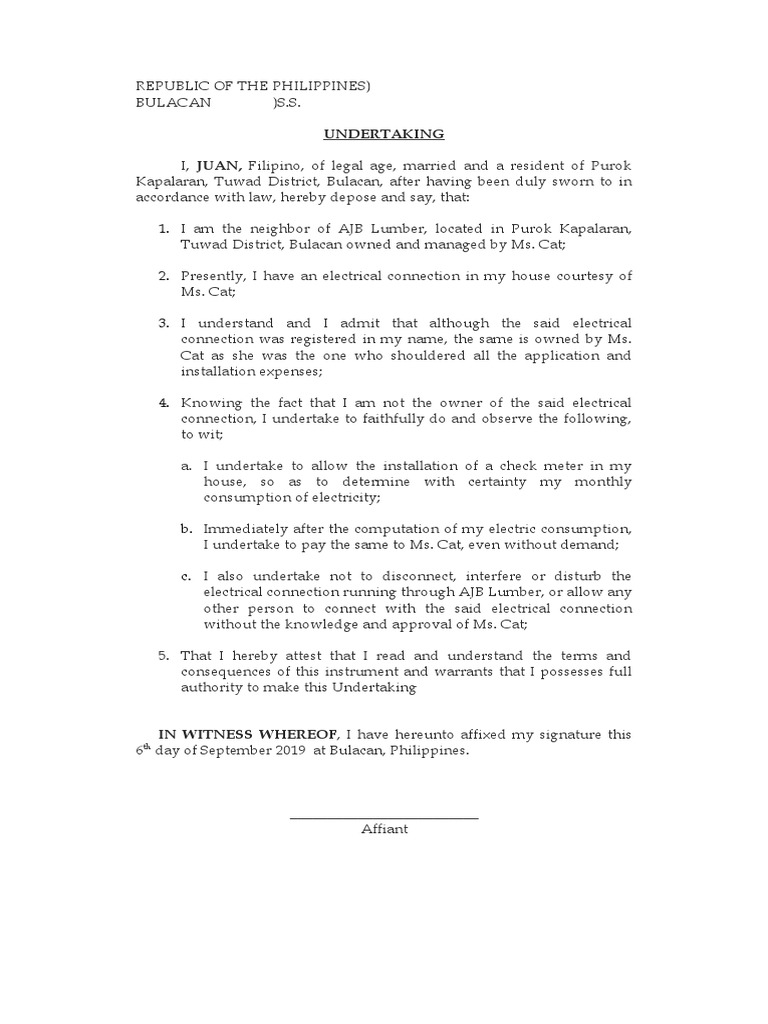 Electricity Connection Undertaking Form | PDF | Law