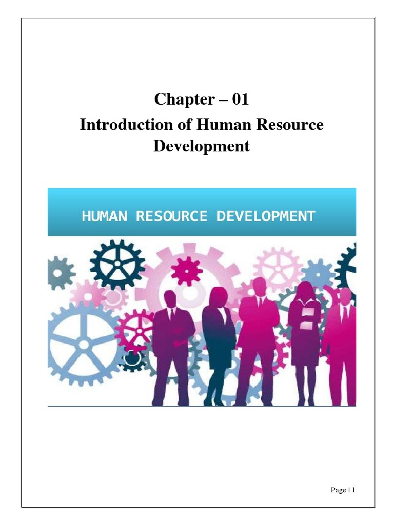 Understanding the Stages of Human Resource Development: A Comprehensive ...