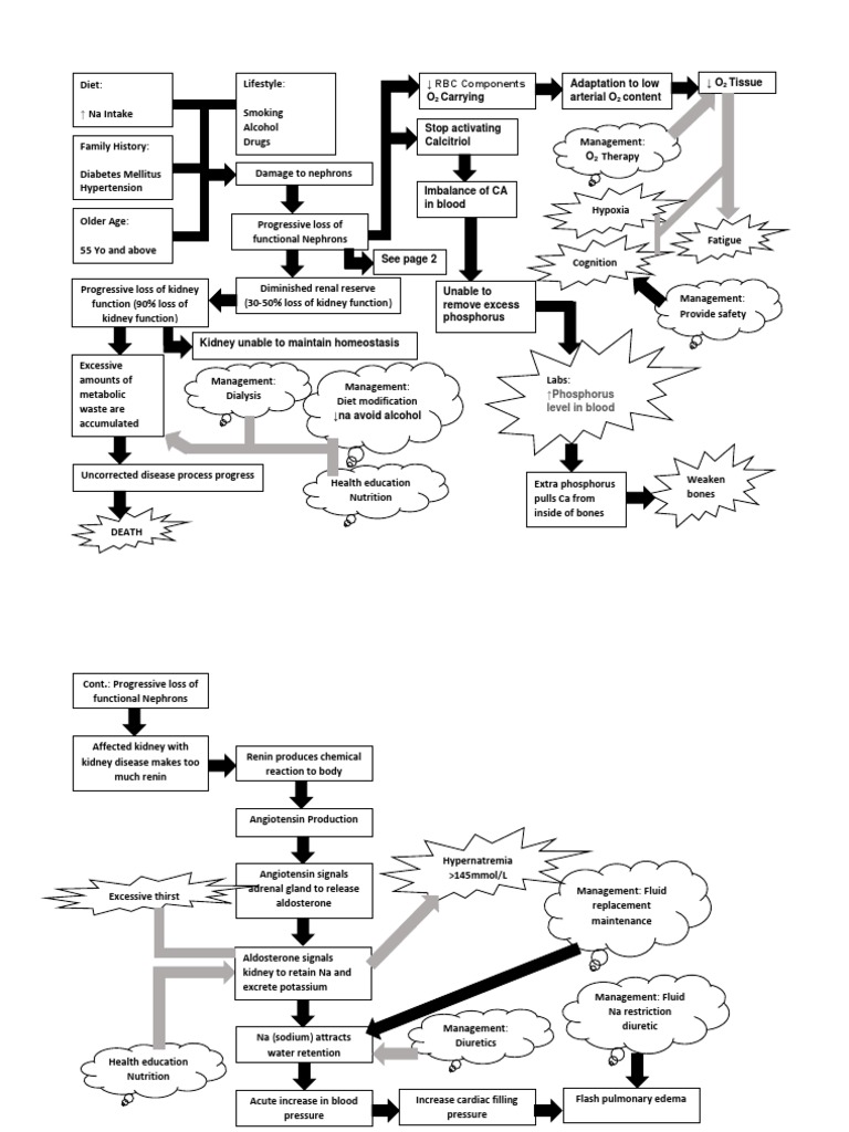 Flow Chart of ESRD | PDF | Kidney | Organ (Anatomy)
