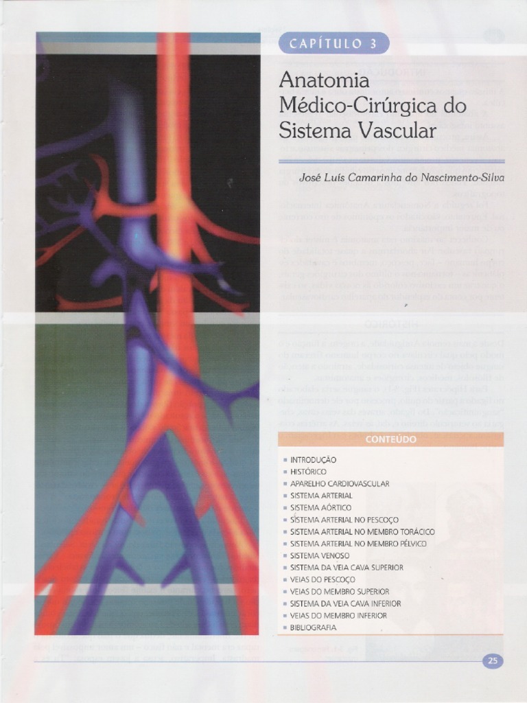 03 - Anatomia Médico-Cirúrgica Do Sistema Vascular | PDF | Sistema ...