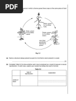 Grade 5 Agriculture Questions | PDF | Plant Nutrition | Agriculture