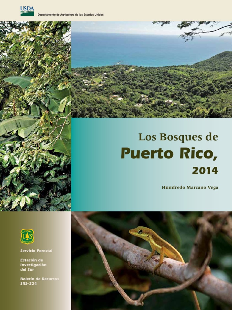 Los Bosques De Puerto Rico Descargar Gratis Pdf Puerto Rico Los Bosques