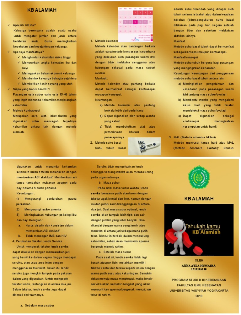 Leaflet Gizi KB ALAMIAH | PDF