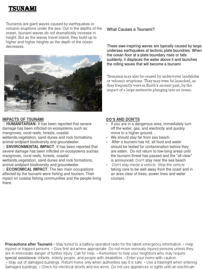 Tsunami: What Causes A Tsunami? | PDF | Tsunami | Emergency Management
