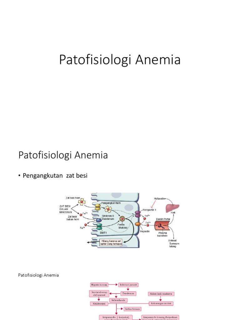 Patofisiologi Anemia dan Pengangkutan Zat Besi | PDF