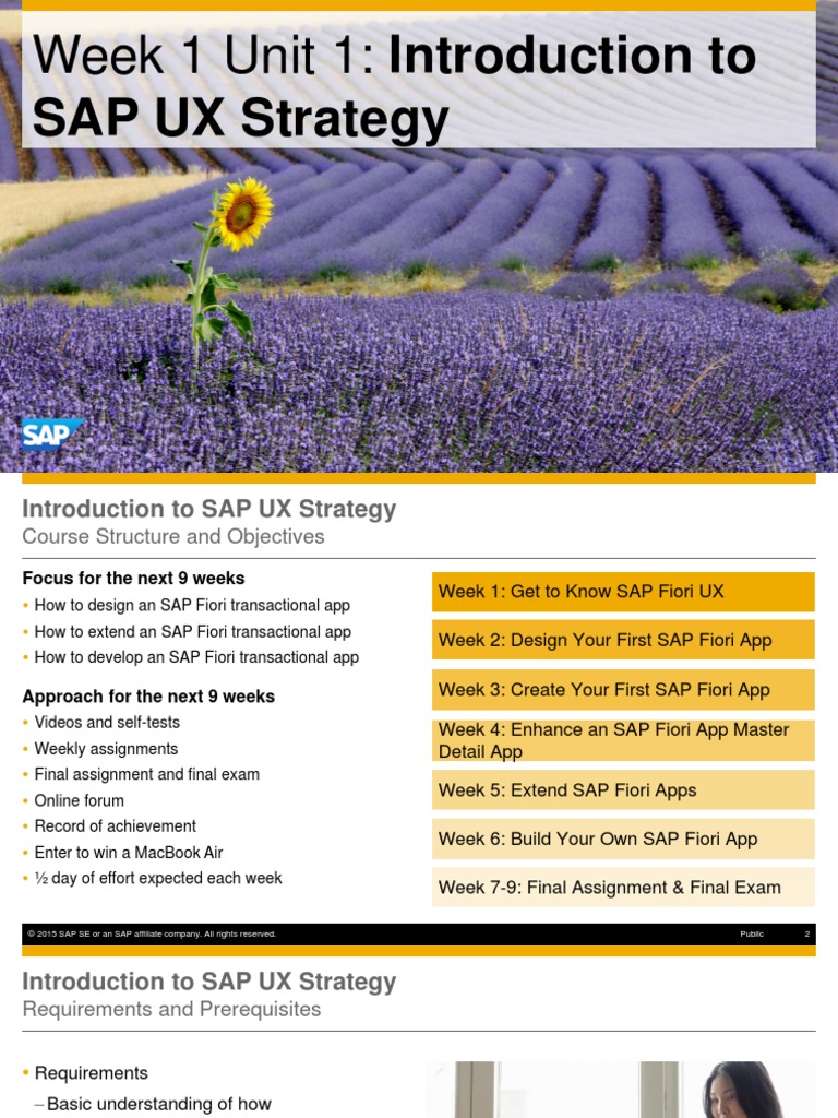 SAP UX Strategy: Week 1 Unit 1: Introduction To | PDF | Json | Model ...