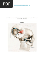 Trabajo 2 - Anatomia de La ATM | PDF | Articulación | Cartílago
