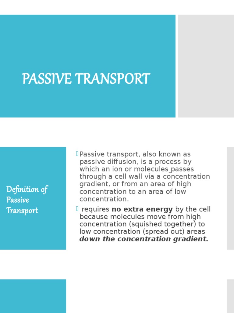 Passive Transport | PDF | Osmosis | Applied And Interdisciplinary Physics