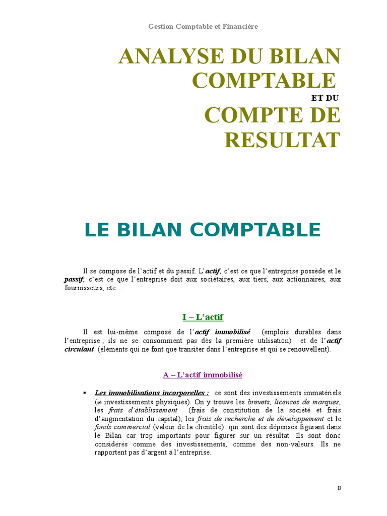 Analyse Du Bilan Comptable | PDF | Ratio financier | Capitaux propres