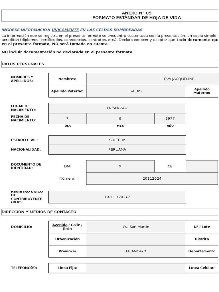 Hoja de Vida y CCI Modelo | PDF | Educación Secundaria | Maestros
