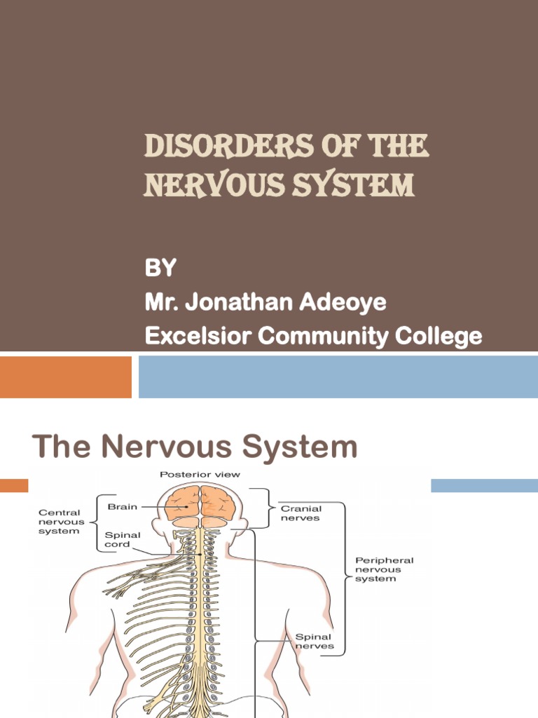 Disorders of The Nervous System | PDF | Stroke | Meningitis