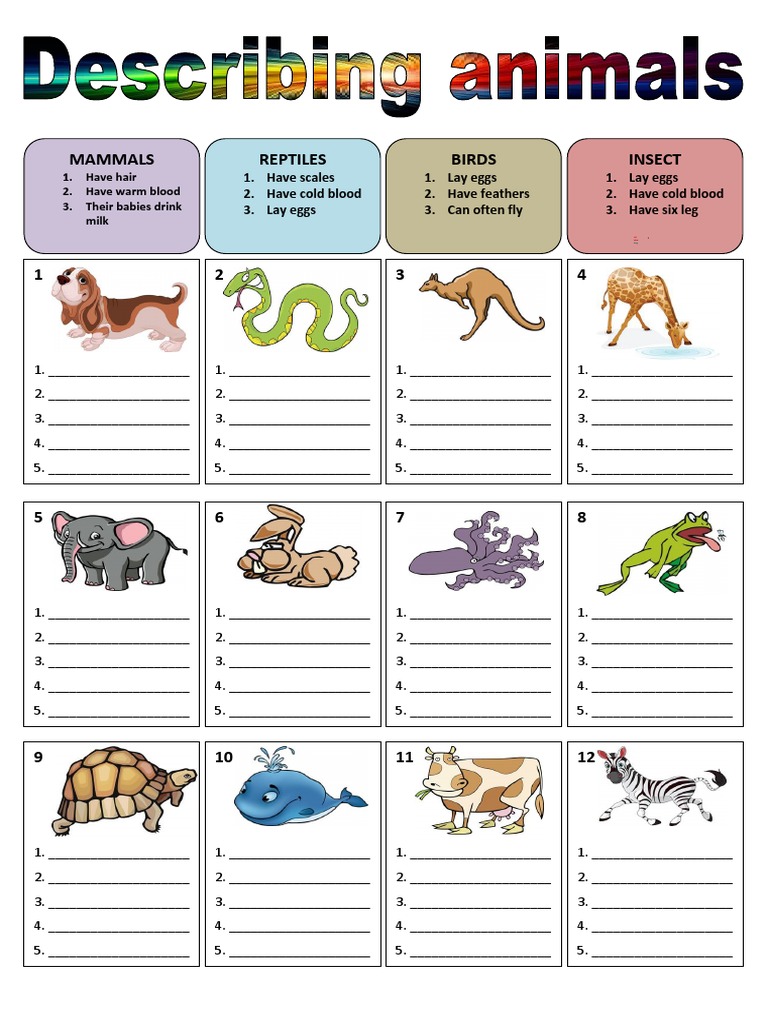 Describing Animals Adjectives Conversation Topics Dialogs Grammar ...