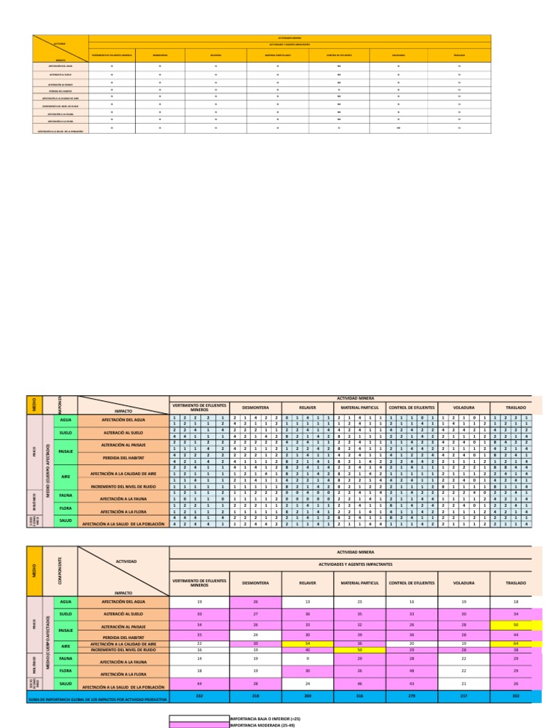 Matriz-De-identificacion de Impactos de Conesa | PDF | Naturaleza | Entorno natural