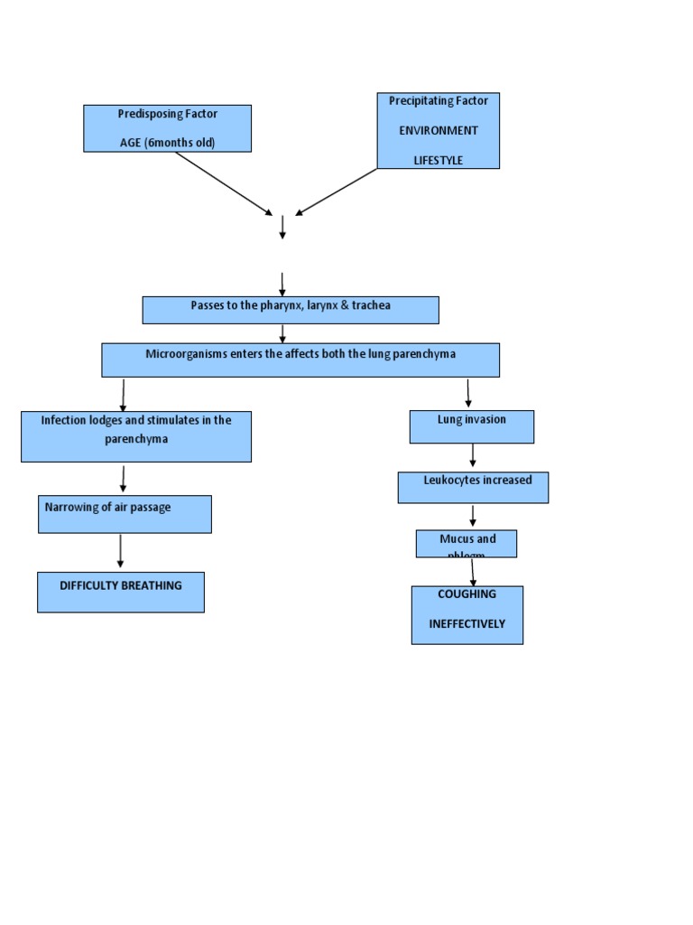 Pediatric Pneumonia Pathophysiology | PDF | Respiratory Tract | Lung