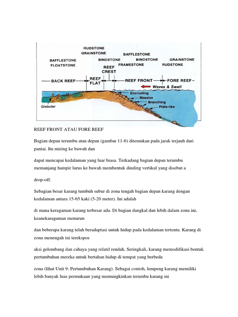 Reef Front Atau Fore Reef | PDF