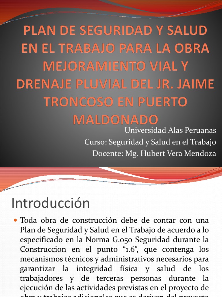 Plan de Seguridad y Salud en El Trabajo | PDF | Perú | Seguridad y salud ocupacional