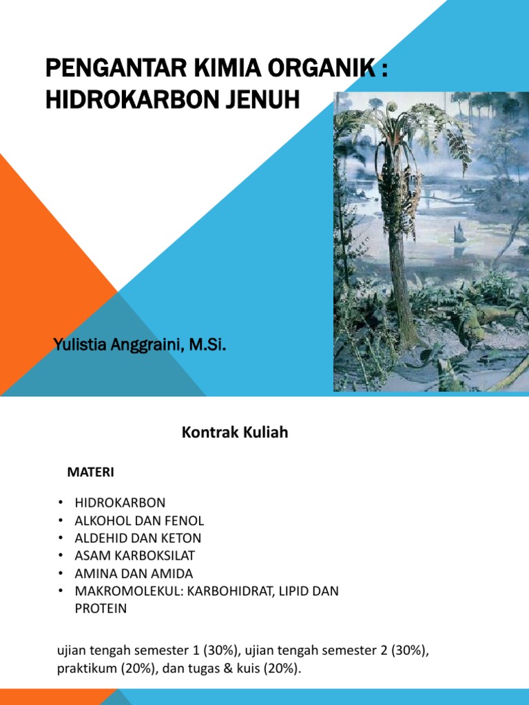 Kimor Modul1 | PDF