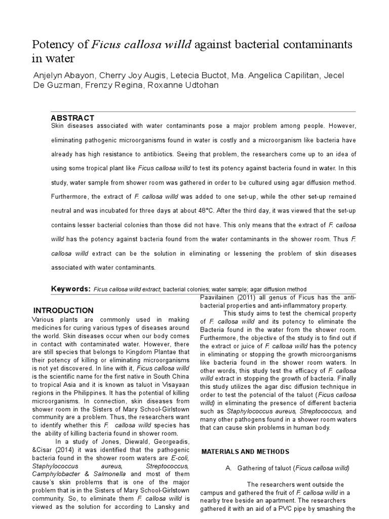 Sip Research Paper | PDF | Agar | Bacteria