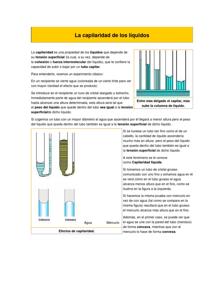 La Capilaridad de Los Líquidos | PDF | Materiales transparentes ...