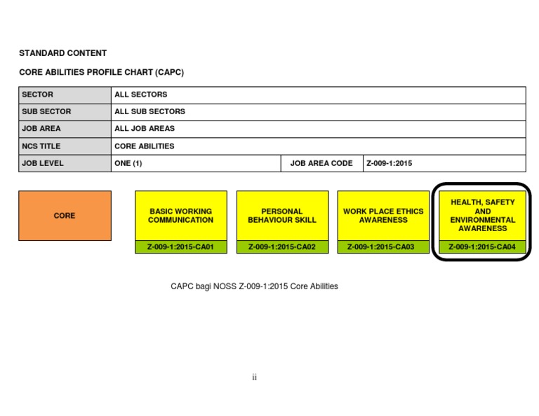 CORE ABILITIES PROFILE CHART Vol.1 PDF | PDF