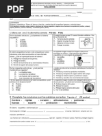 Prueba Ciencias Naturales Sistema Oseo Muscular y Nervioso | PDF ...