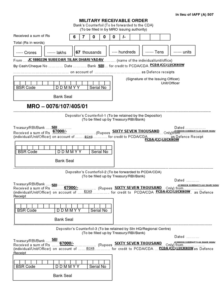 Mro Format & Instructions | Rupee | Banking