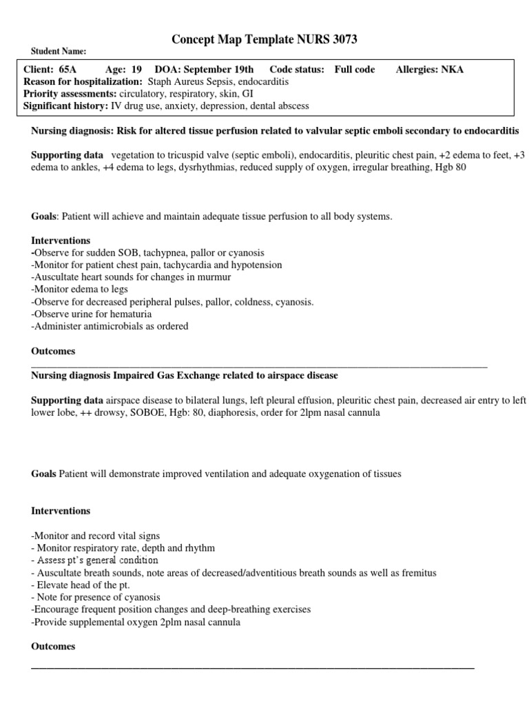 Concept Map Detailing Nursing Care for a 19-Year-Old Patient with Staph ...