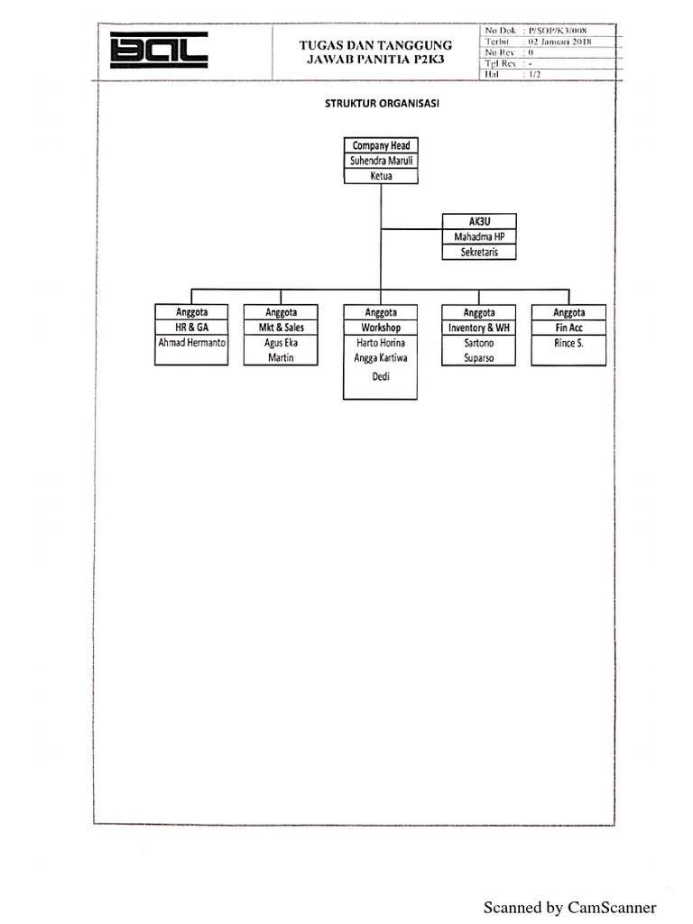 CamScanner User Guide | PDF