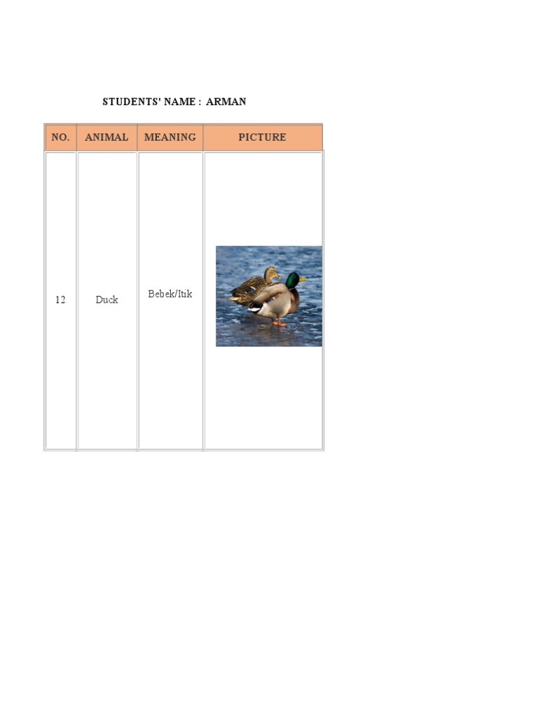 Students' Name: Arman: NO. Animal Meaning Picture | PDF