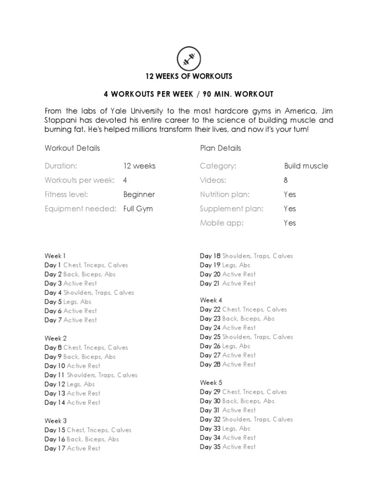 12 Weeks of Workouts | PDF | Musculoskeletal System | Limbs (Anatomy)