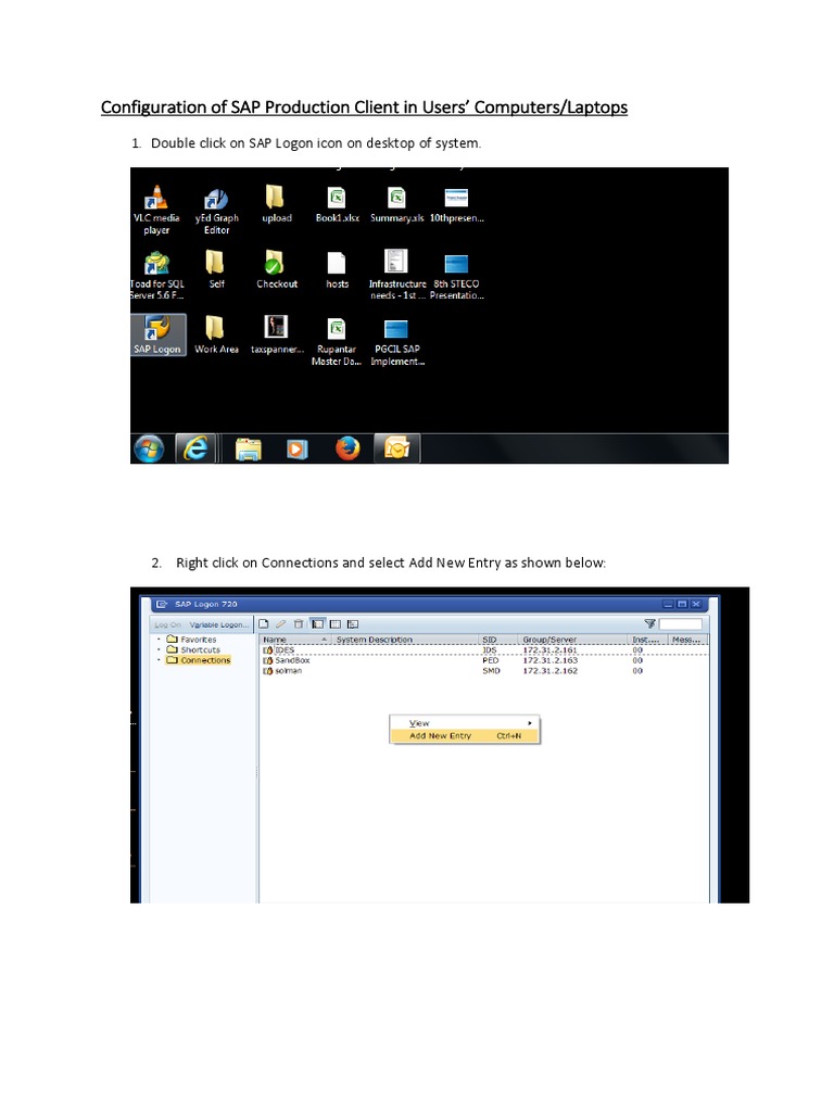 Snapshot - SAP Production Client | PDF
