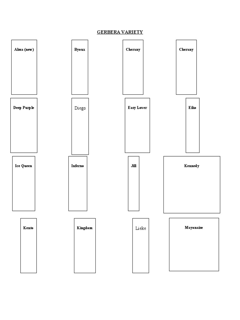 Gerbera Flower Varieties List | PDF