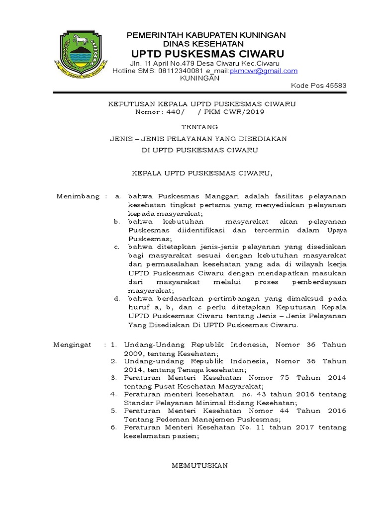 SK Jenis-Jenis Pelayanan Yang Ada Di Puskesmas | PDF